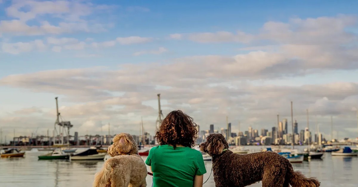 Flash The Dog - Lighting Up Resident Lives - Campus Living Villages