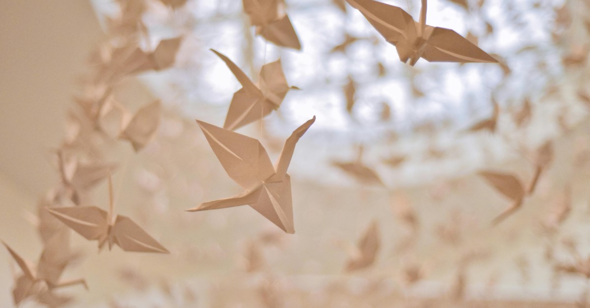 Origami Evening - Campus Living Villages